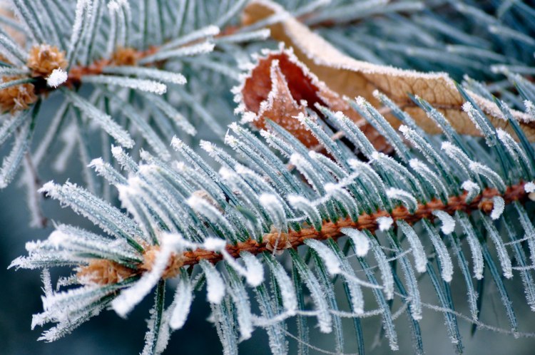 What Causes Ice Storms and Why They’re So Destructive - BelowClouds.com