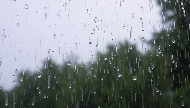 Drizzle Has Main Character Energy and Zero Impact - BelowClouds.com