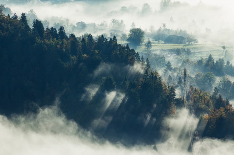 How Fog Forms and Disappears - BelowClouds.com