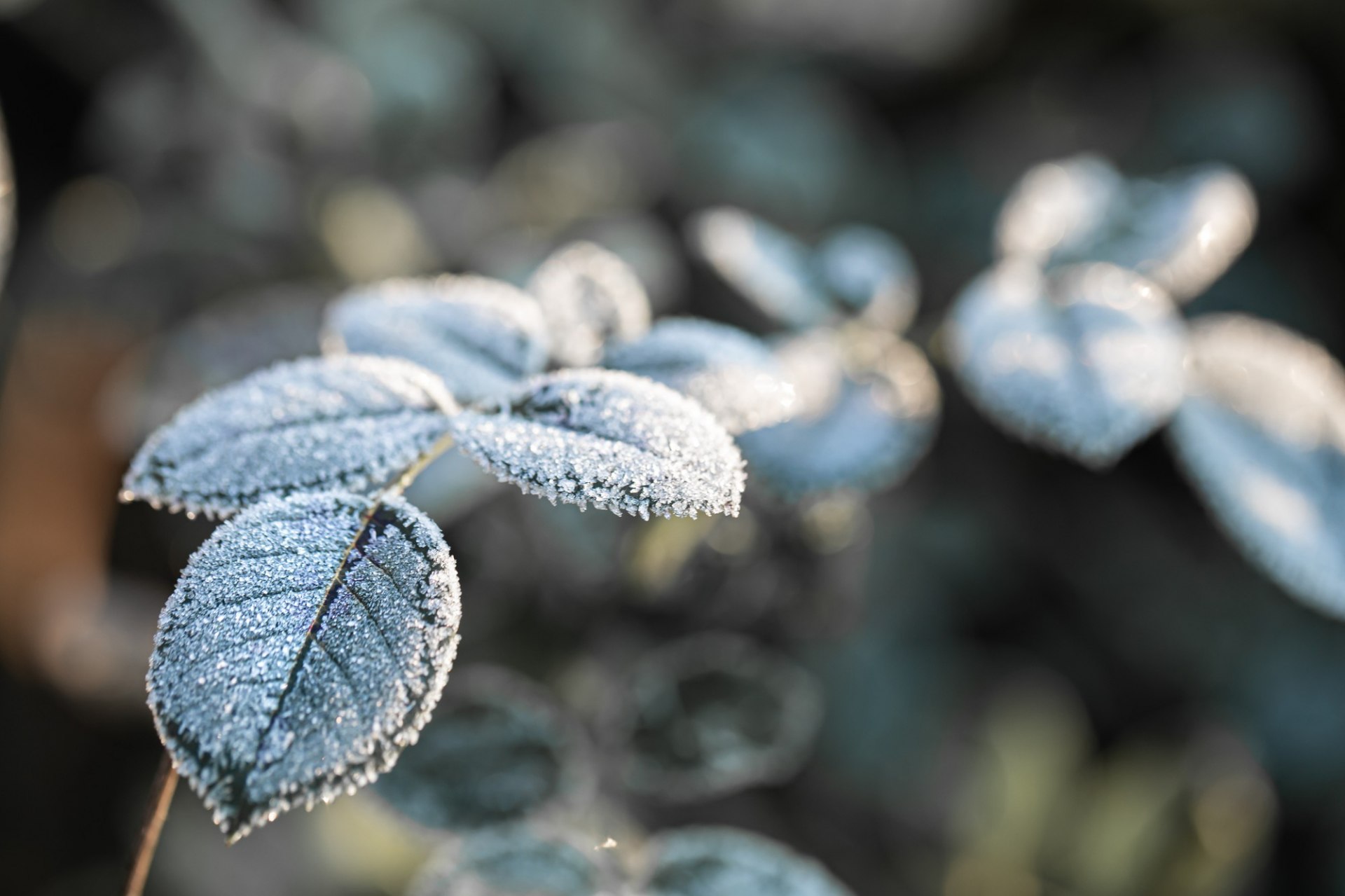 The Science of Freezing Rain - BelowClouds.com