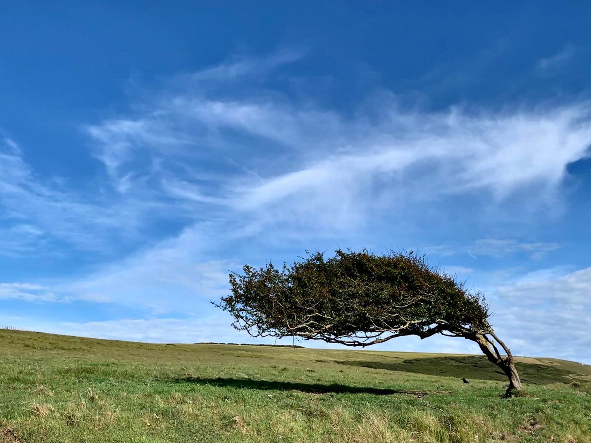 How Wind Can Shape Entire Landscapes - BelowClouds.com