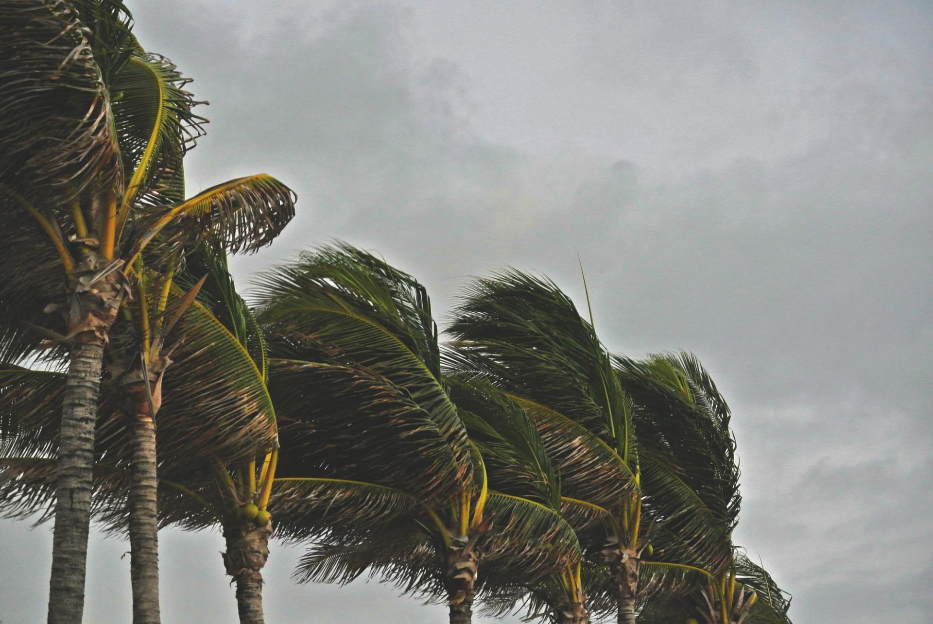 The Science of Super Typhoons - BelowClouds.com