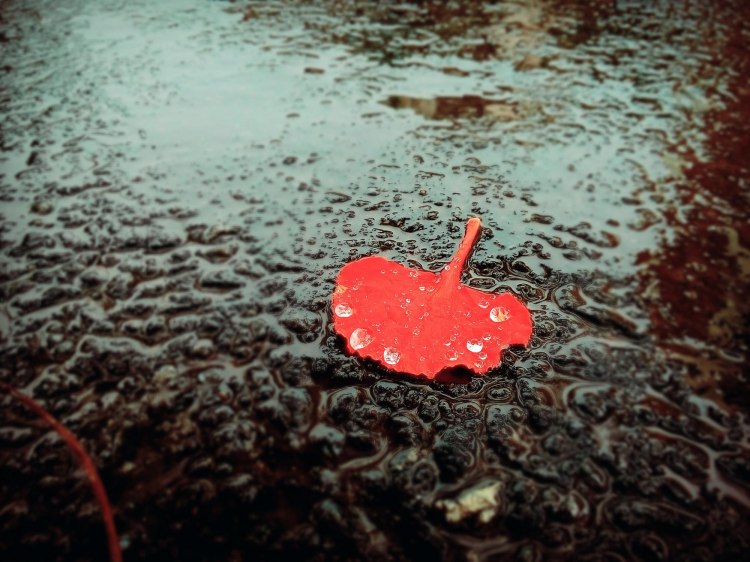 What Causes Ice Storms to Be So Destructive - BelowClouds.com