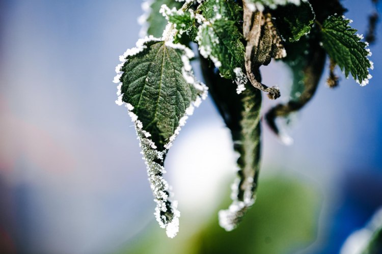 Can Lightning Strike Without Rain Dry Lightning Explained