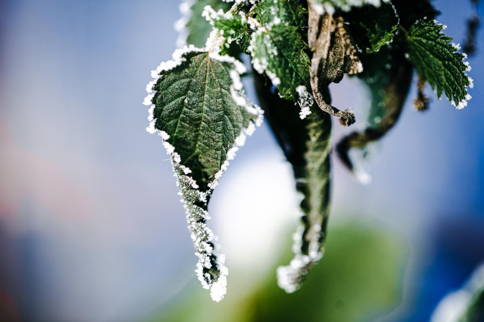 The Science Behind Freezing Drizzle - BelowClouds.com