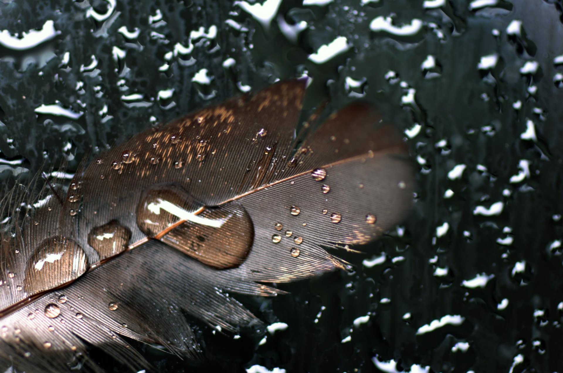 Why It Smells Like Metal Before Lightning Strikes - BelowClouds.com