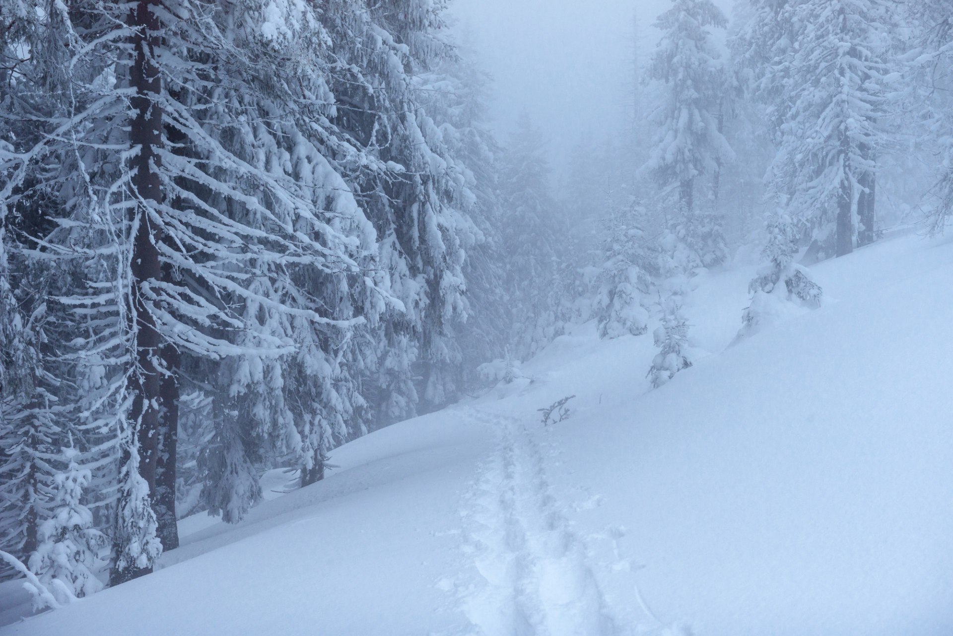 How Blizzards Form and Why They Can Happen Suddenly - BelowClouds.com