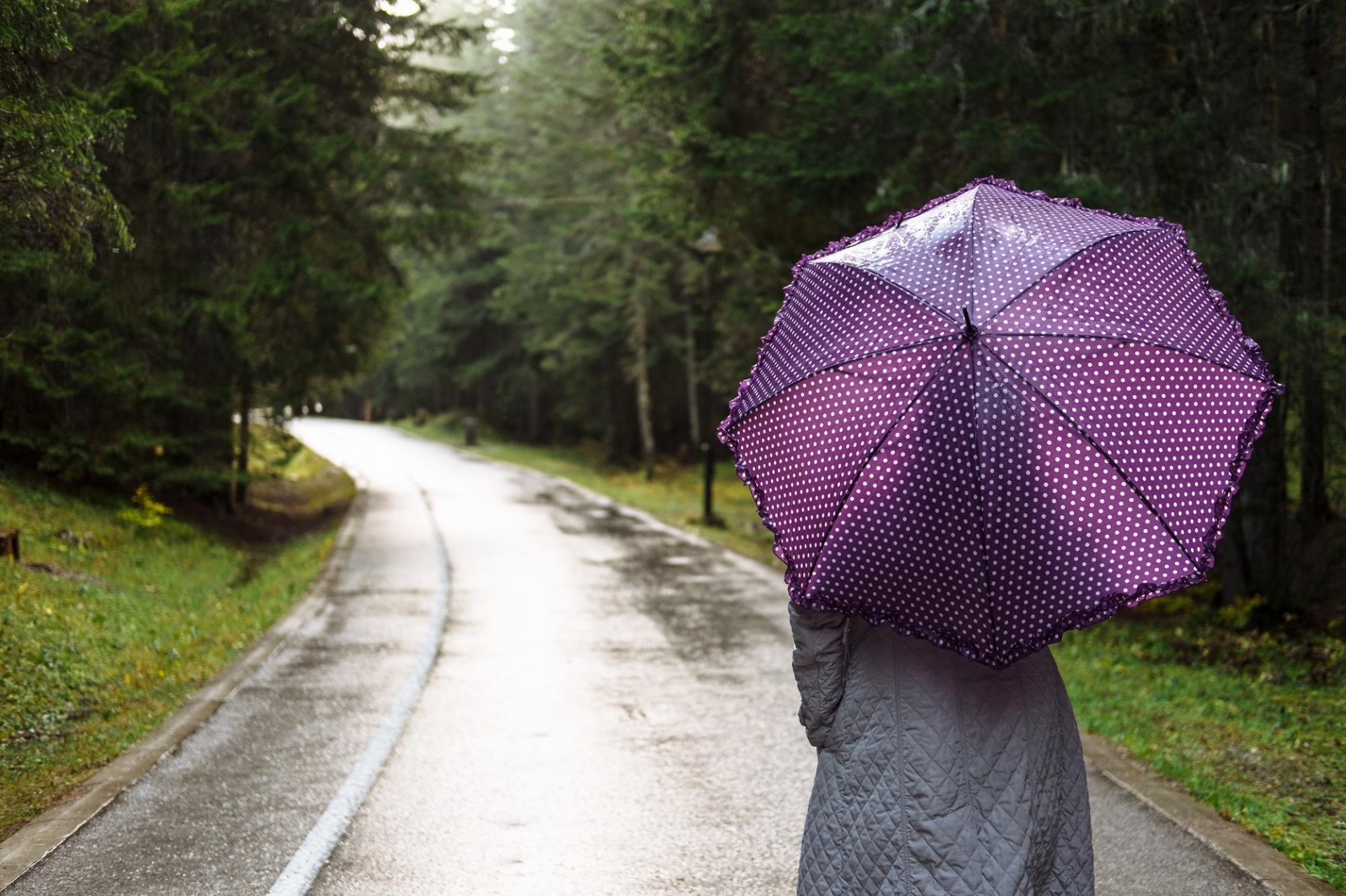 Why Weather Changes Faster Near the Equator The Hidden Drivers ...