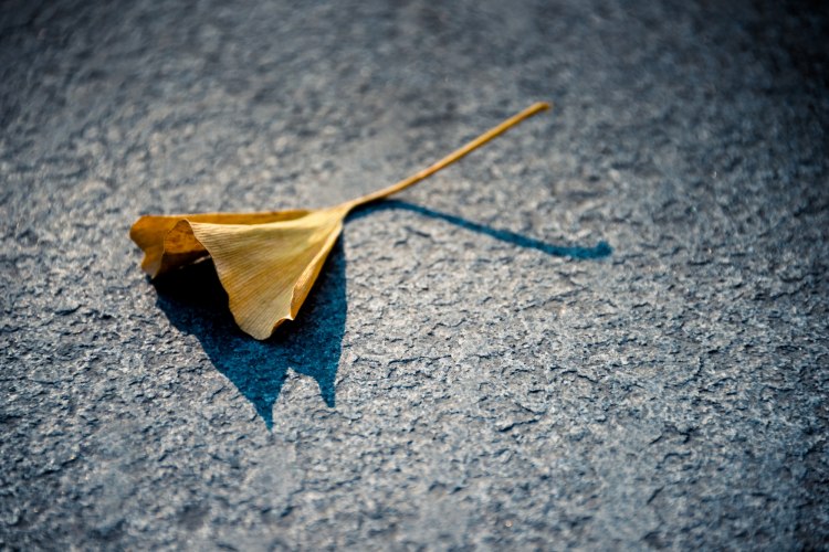 What If Earth Had No Wind How Life Would Be Completely Different ...