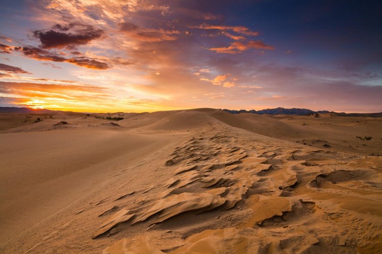 Why Some Deserts Have Flash Floods After Years Without Rain ...