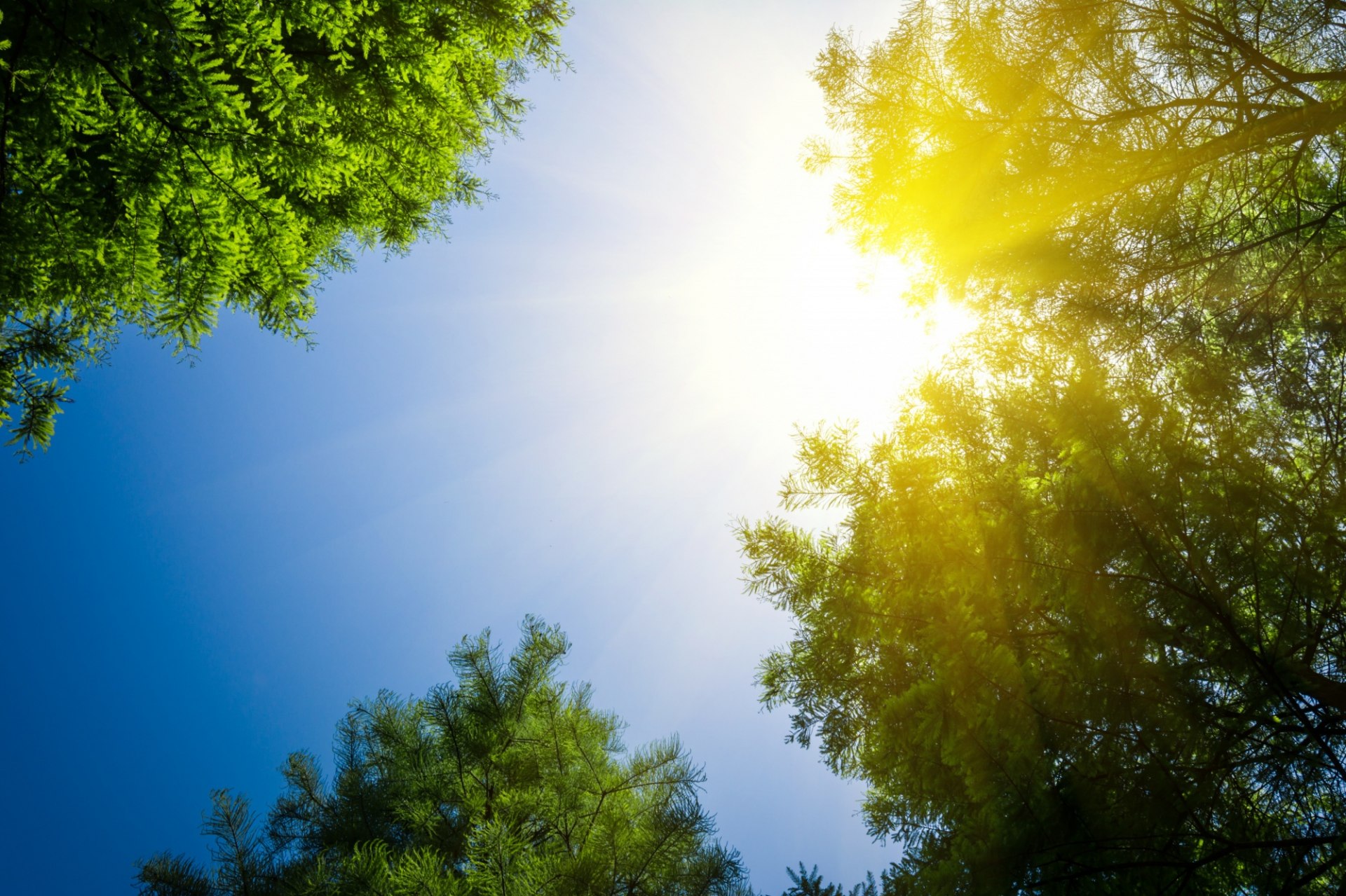 The Science of Daylight Growing Longer and Its Surprising Effects ...