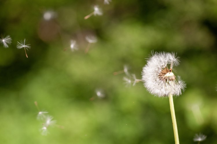 How to Feel Like a Nature Influencer on a Breezy Walk - BelowClouds.com